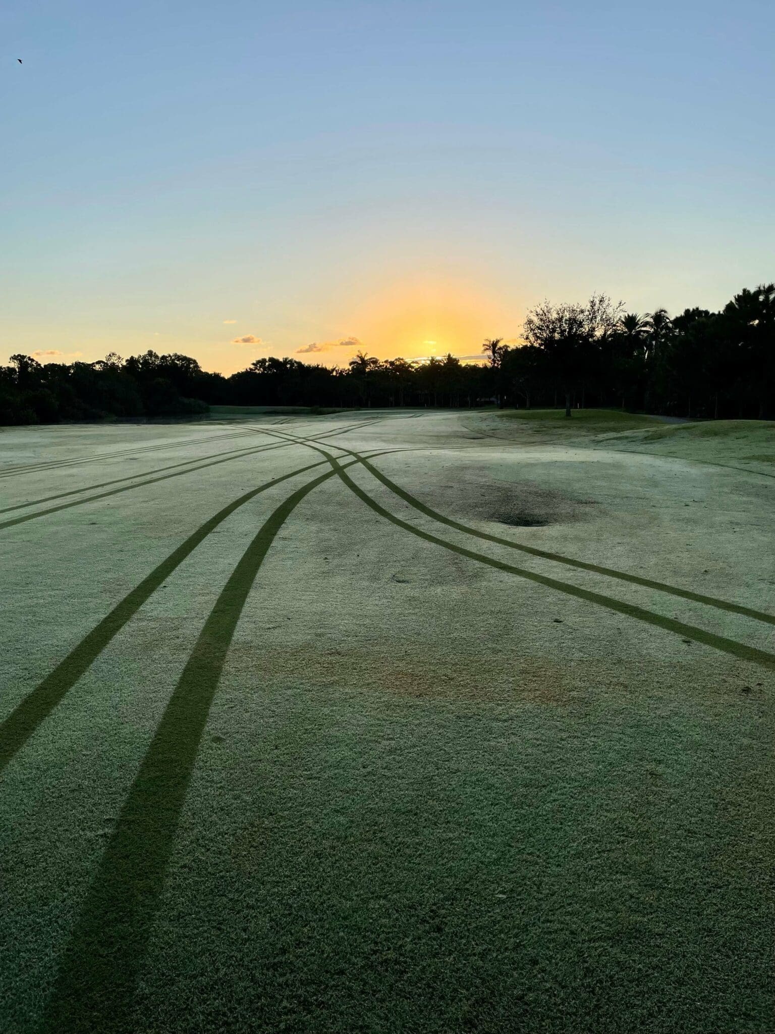 What Is Dew Sweeping in Golf and Why You Need to Do It - Golfchase.com