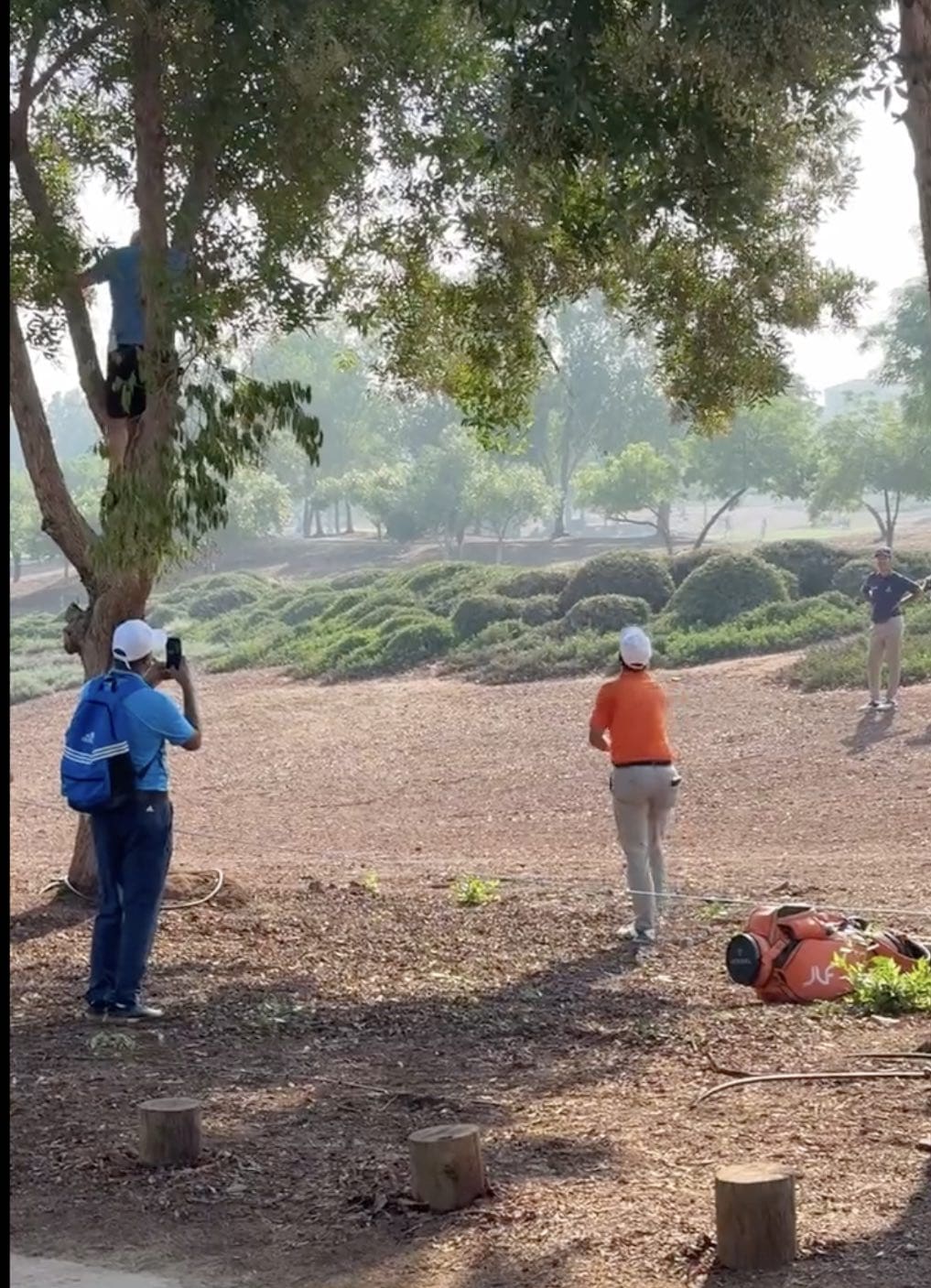 Pro Golfer Loses Three Golf Clubs In a Tree - Golfchase.com
